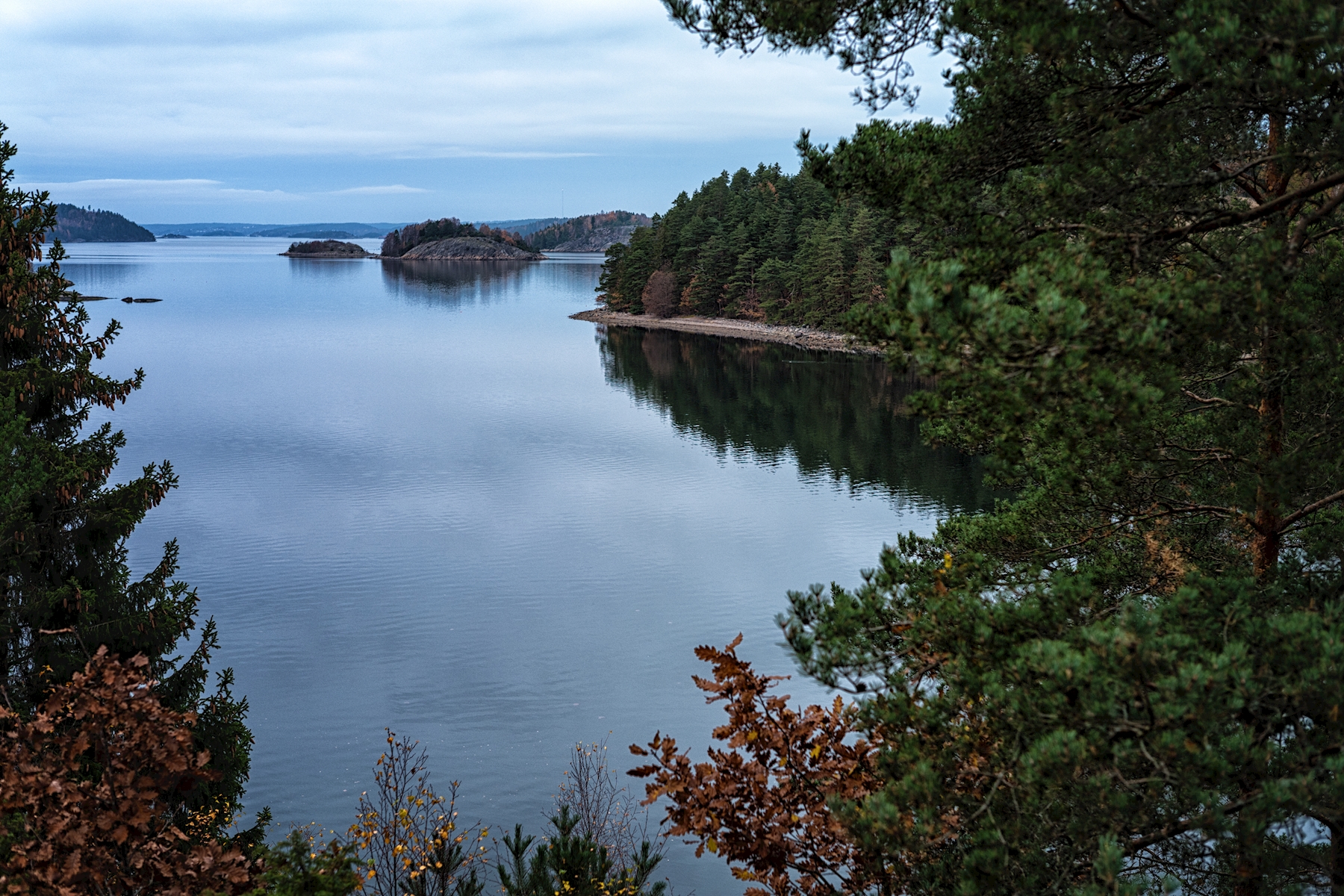 Sparreviken posters & prints by Lars Millberg - Printler