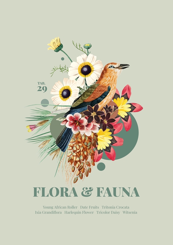 Flora & Fauna with afr. Roller posters & prints by Avis & Flos - Printler