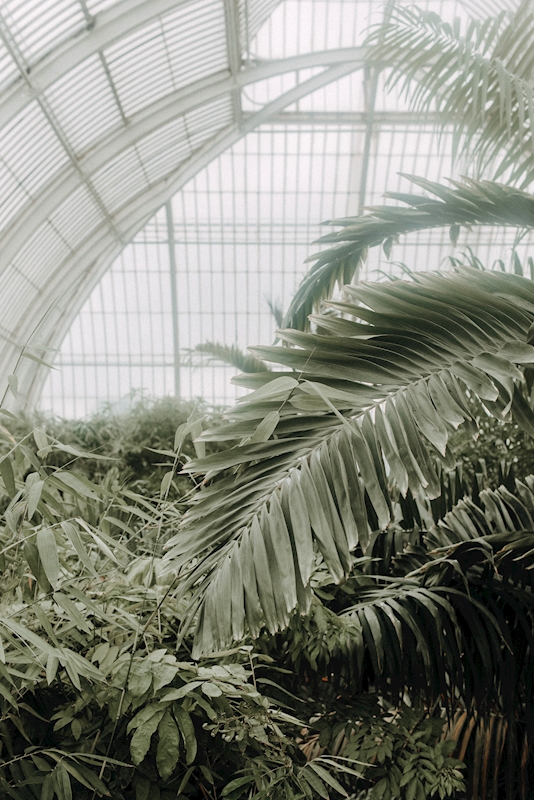 green posters & prints by by_m - Printler