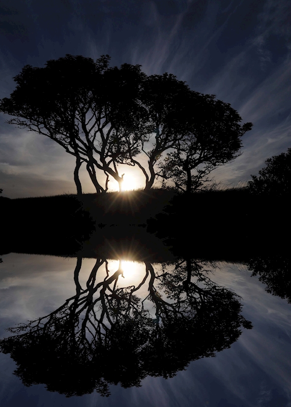 Reflection posters & prints by Åse Ording Reinisch/DMA Photographic ...