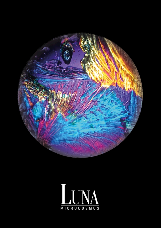 LUNA - SCHWARZ Poster von Microcosmos | Printler